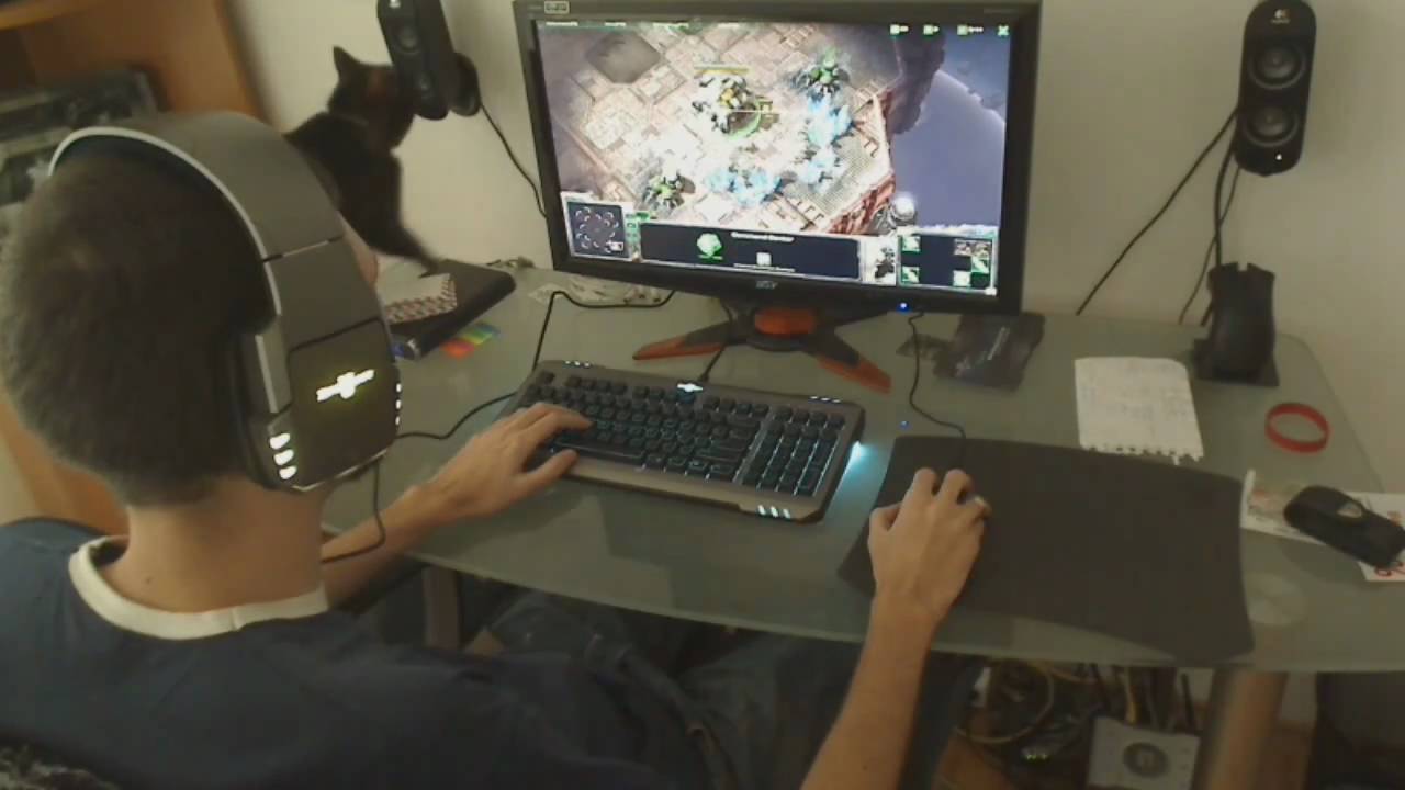 Razer StarCraft II Gear: APM & Alert System demo - YouTube