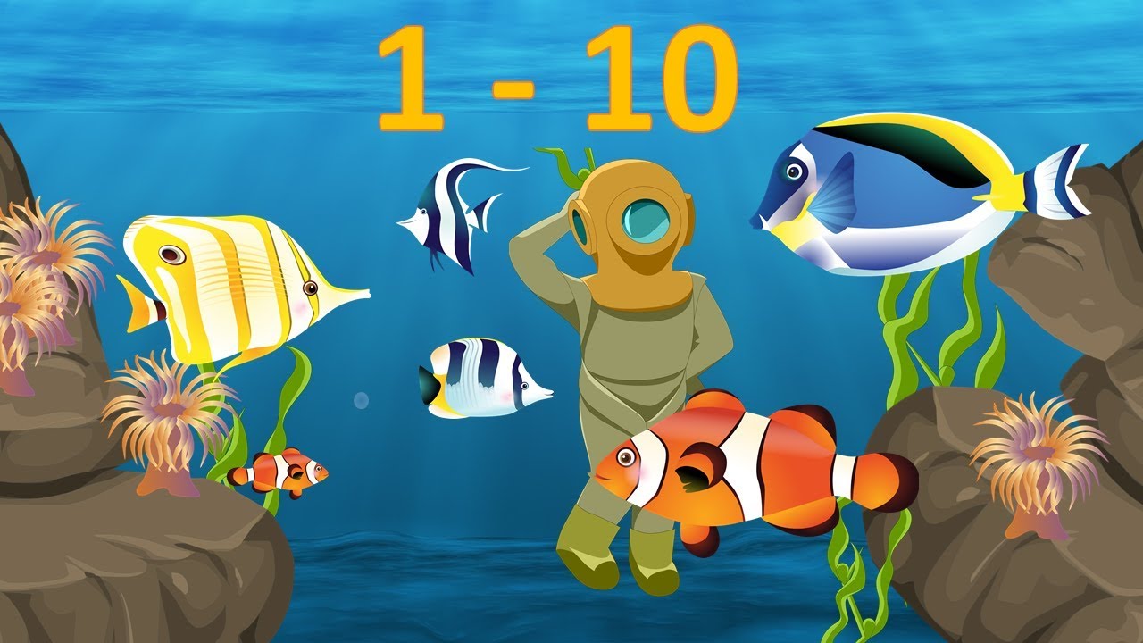 Contando números con peces para niños. Los niños pueden contar de forma ...