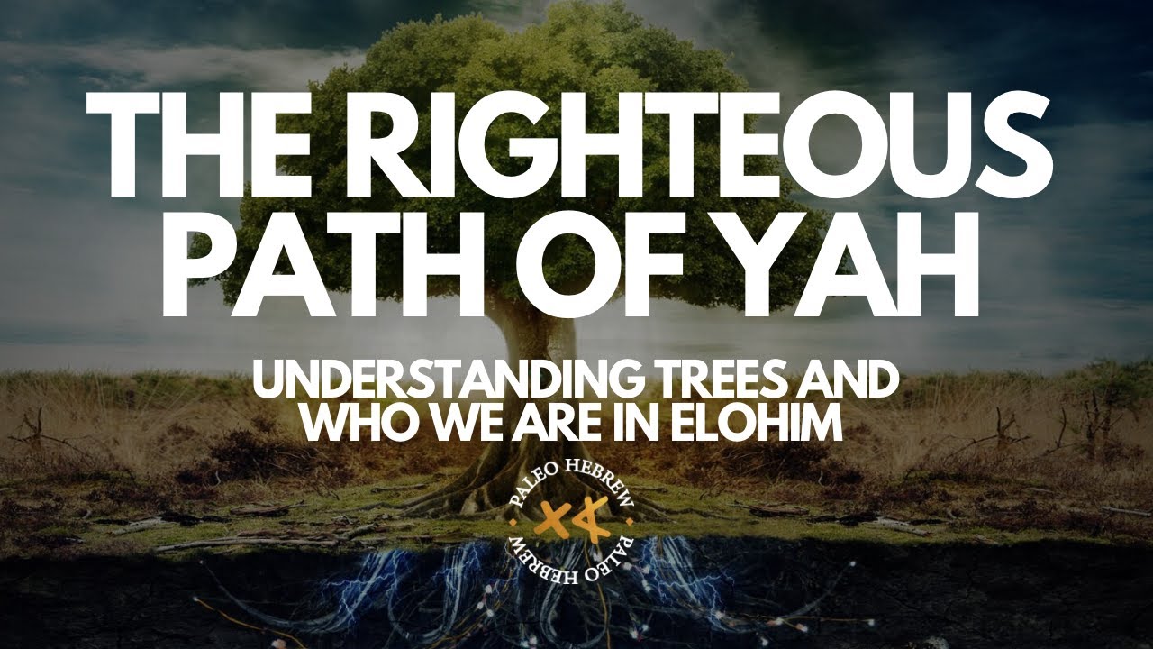 THE RIGHTEOUS PATH OF YAH (UNDERSTANDING TREES AND WHO WE ARE IN ELOHIM ...
