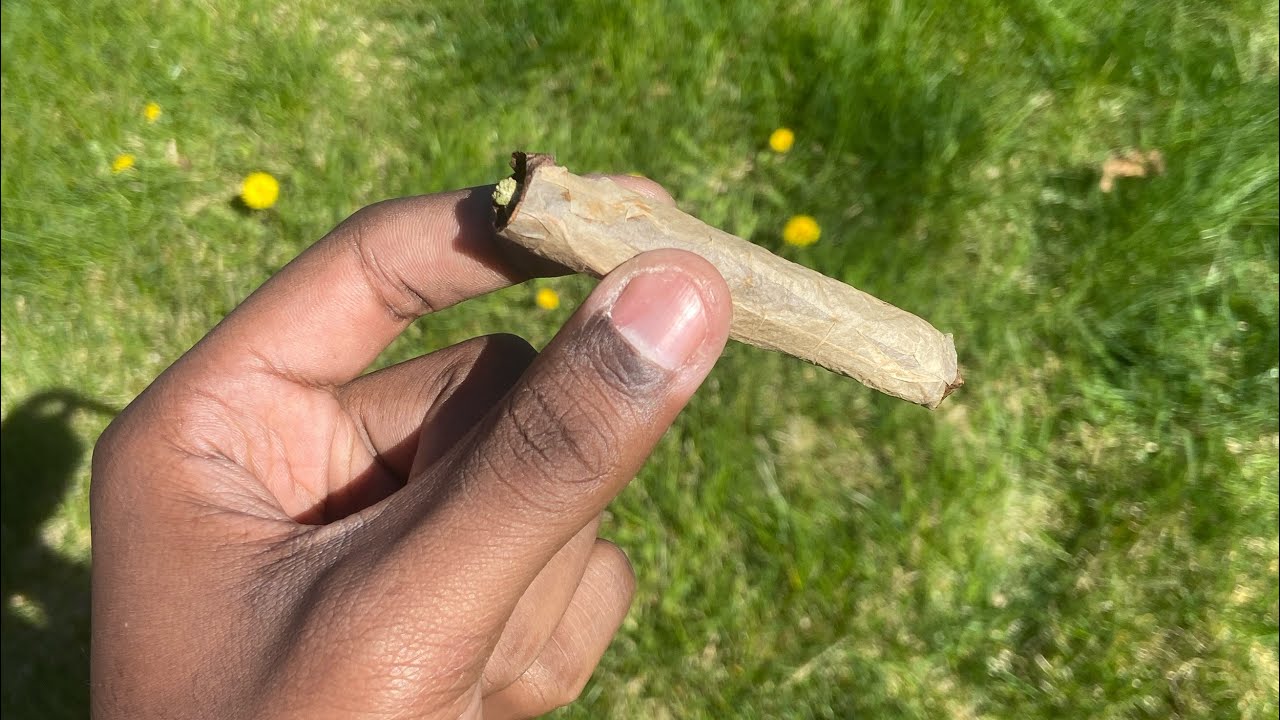 7 GRAM BLUNT FOR 420 - YouTube