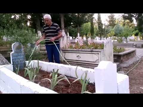 Zeynel Tatlıses / Bu Dert Beni Öldürecek