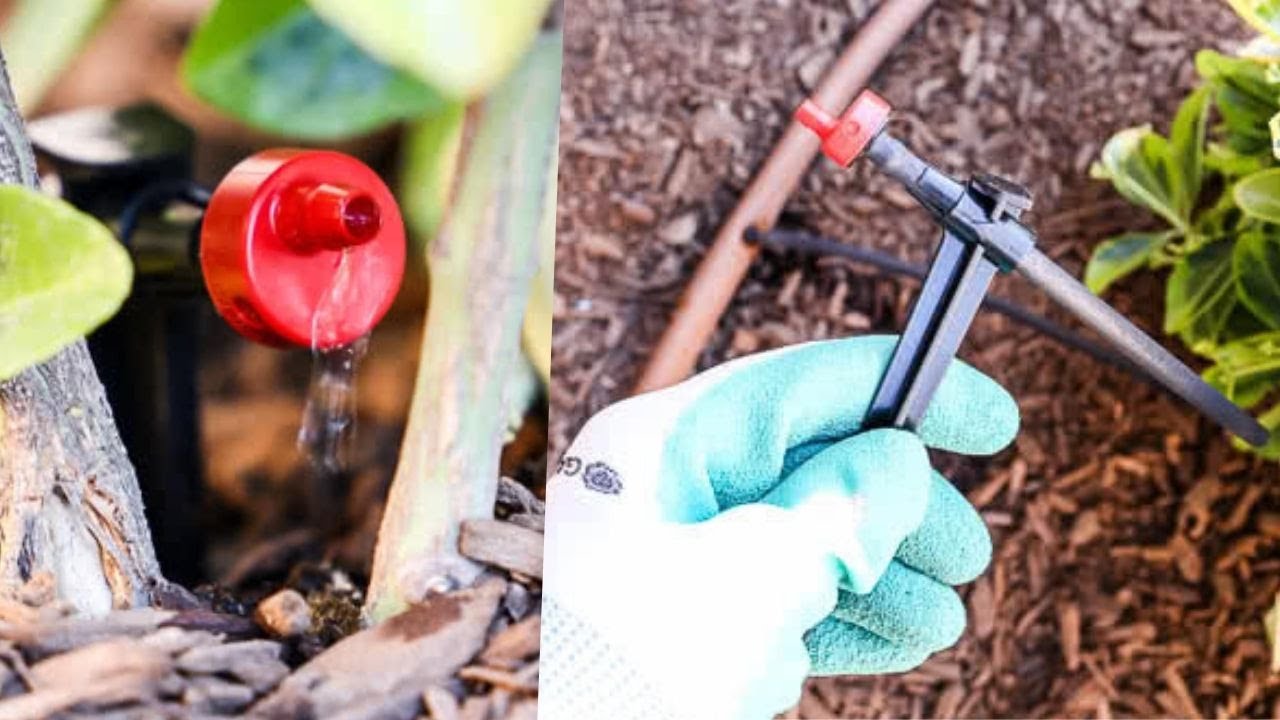 Easy DIY Drip Irrigation Tutorial | Automatic watering for plants - YouTube