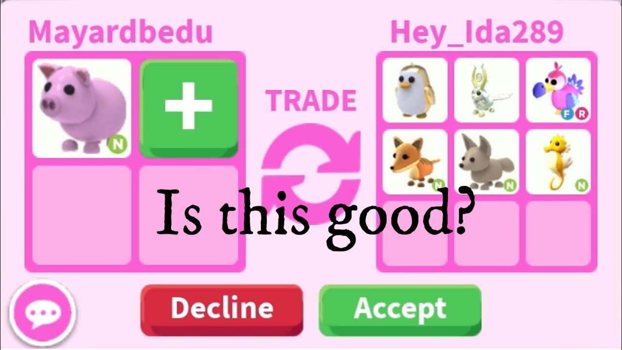 Seeing offers for pets and claiming four RGB boxes! - YouTube