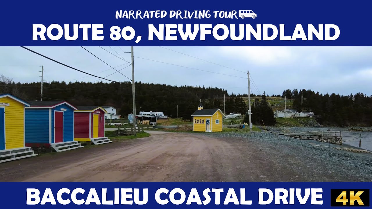 🏞️ Scenic Coastal Drive on Route 80 | Baccalieu Coastal Drive ...