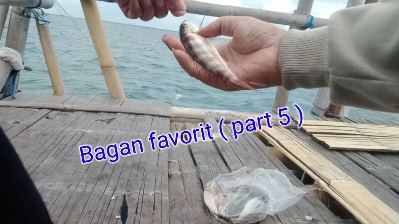 Mancing di Bagan mamung# tanjungkait - YouTube
