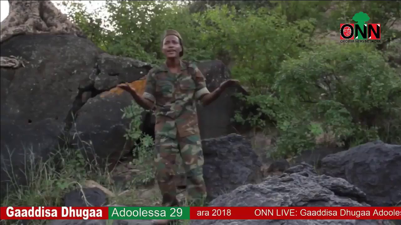 ONN LIVE: Gaaddisa Dhugaa Adoolessa 29 bara 2018 - YouTube