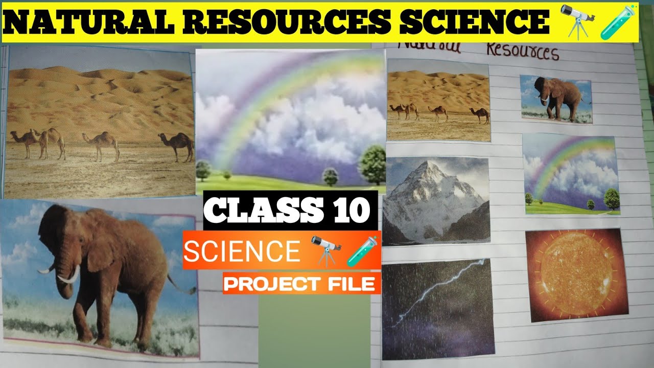 Class 10 science 🔭🧪 project file Natural resources English medium - YouTube
