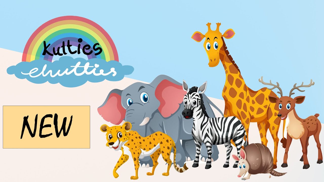 Animals INTRO | KUTTIES CHUTTIES - YouTube