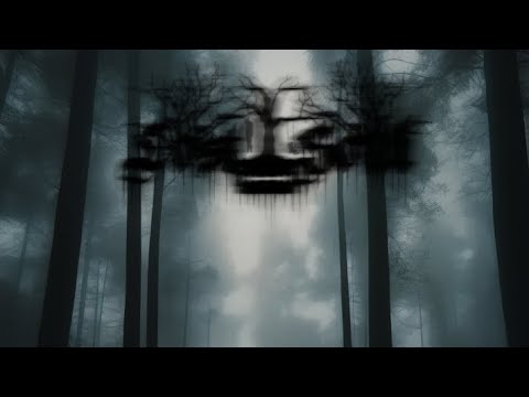 Lost Soul - Alone at the bottom of the forest (Atmospheric Black Metal ...