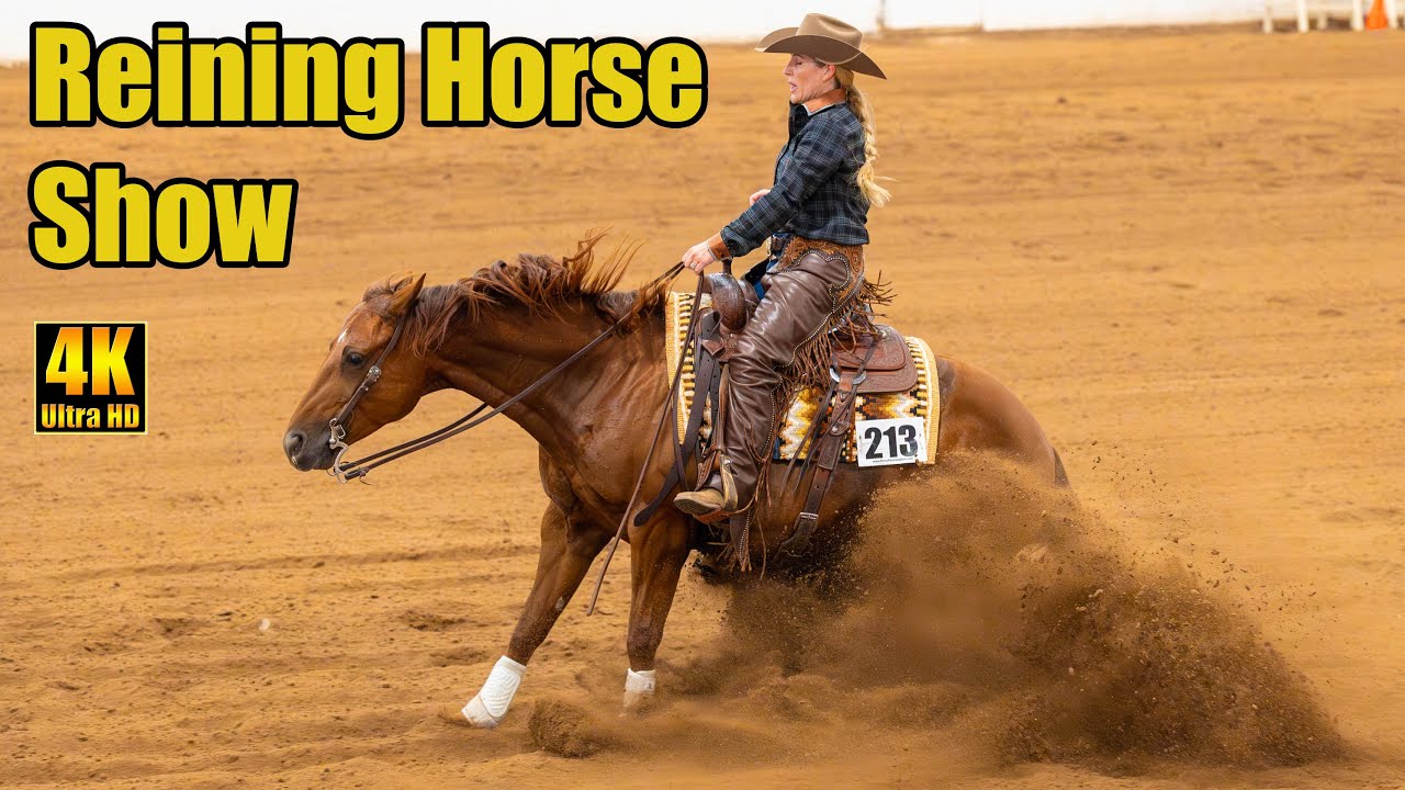 AZ Reining Horse Assoc. (AZRHA) Inside Slide - Reining Horse Show - YouTube