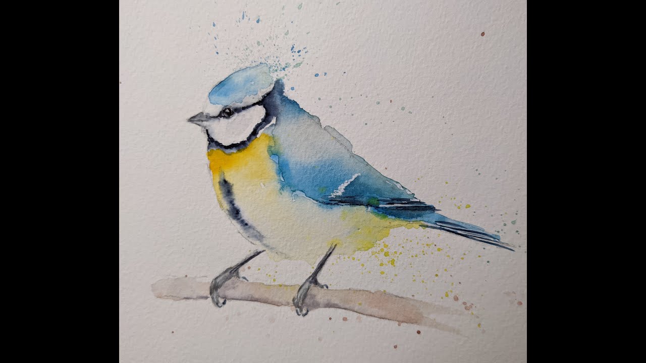 Loose Watercolour Blue Tit Tutorial - YouTube