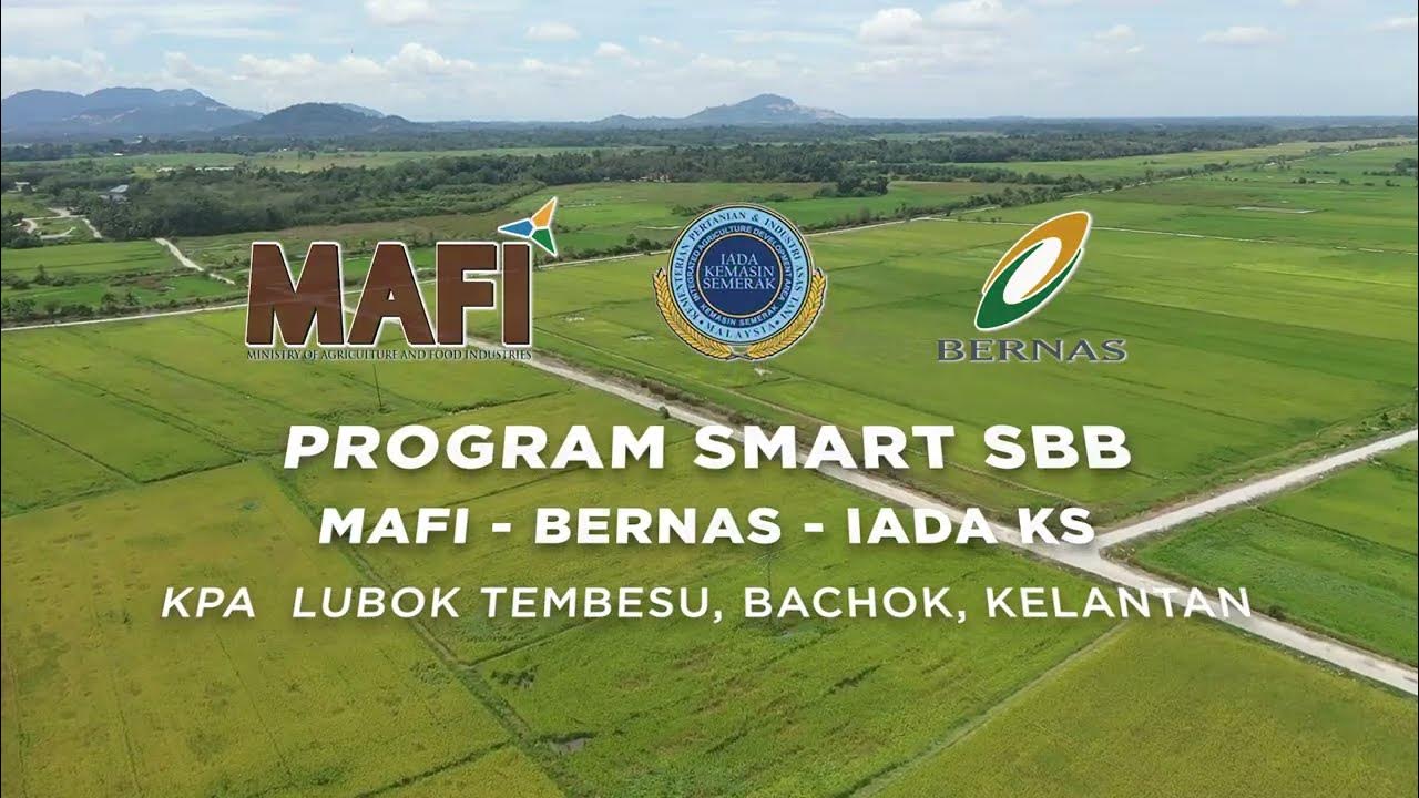 Program SMART SBB MAFI - BERNAS - IADA Kemasin Semerak - YouTube