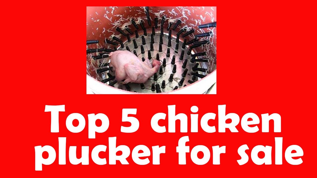 Kent Company Chicken Plucker Fingers