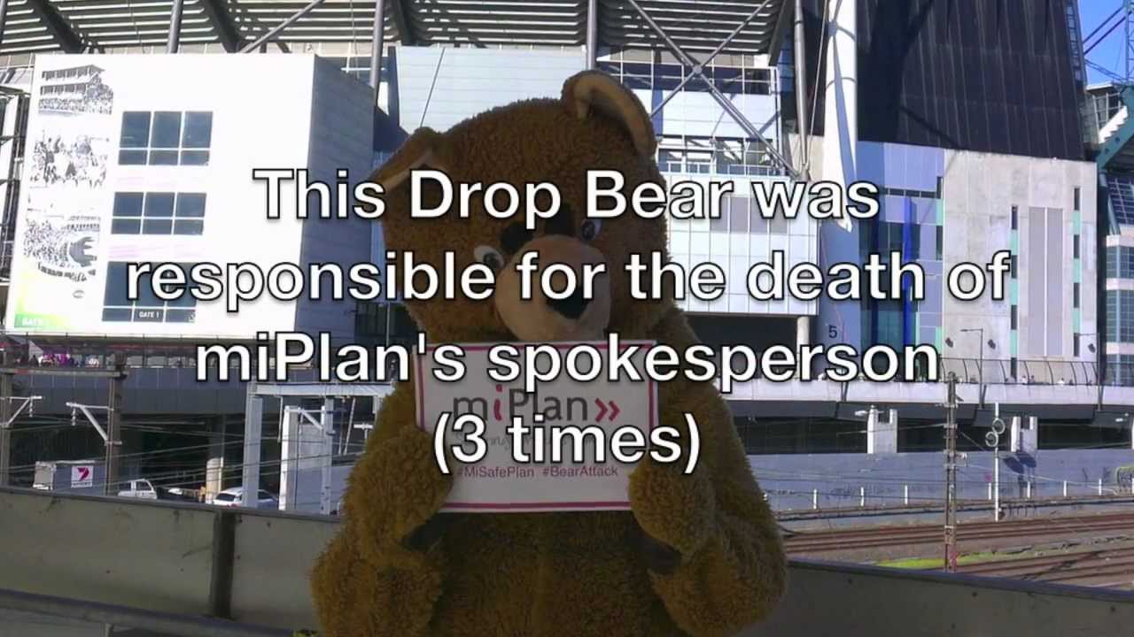 Unexpected Death - Bear Attack - Drop Bear Capture @ MCG - miSafePlan ...