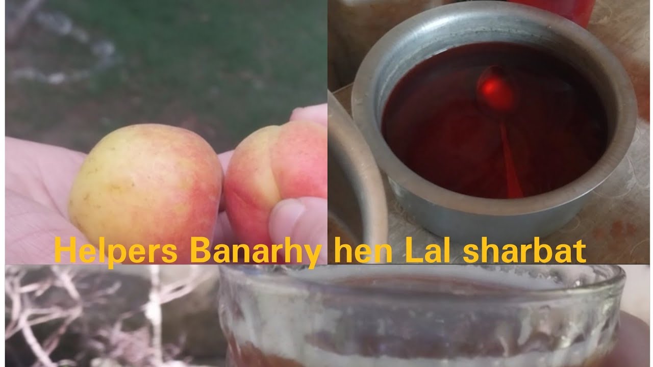 Helpers Making Red SHARBAT For Guest | enjoying Summery Fruit And Juice ...