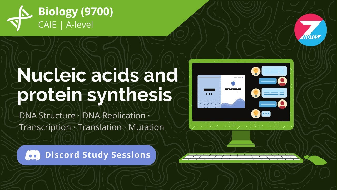 Nucleic Acids and Protein Synthesis | Biology A-level | Discord Study ...