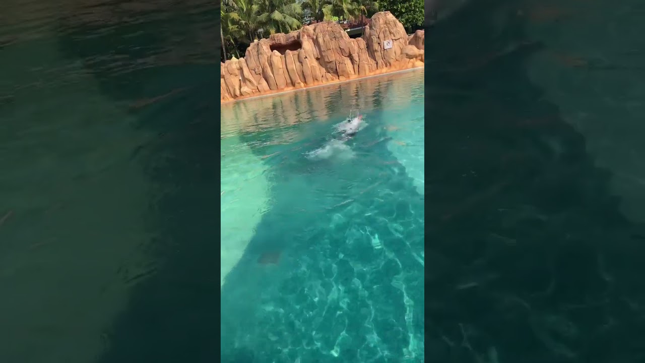 It’s good or bad swimming 🏊‍♀️ - YouTube