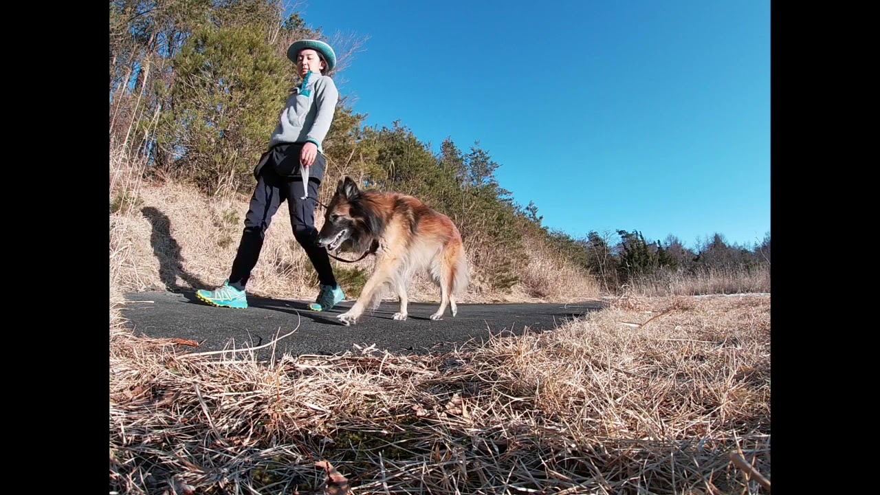 Calm walking - YouTube