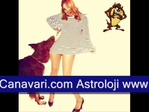 Usta Yonca Evcimik Seslidünya