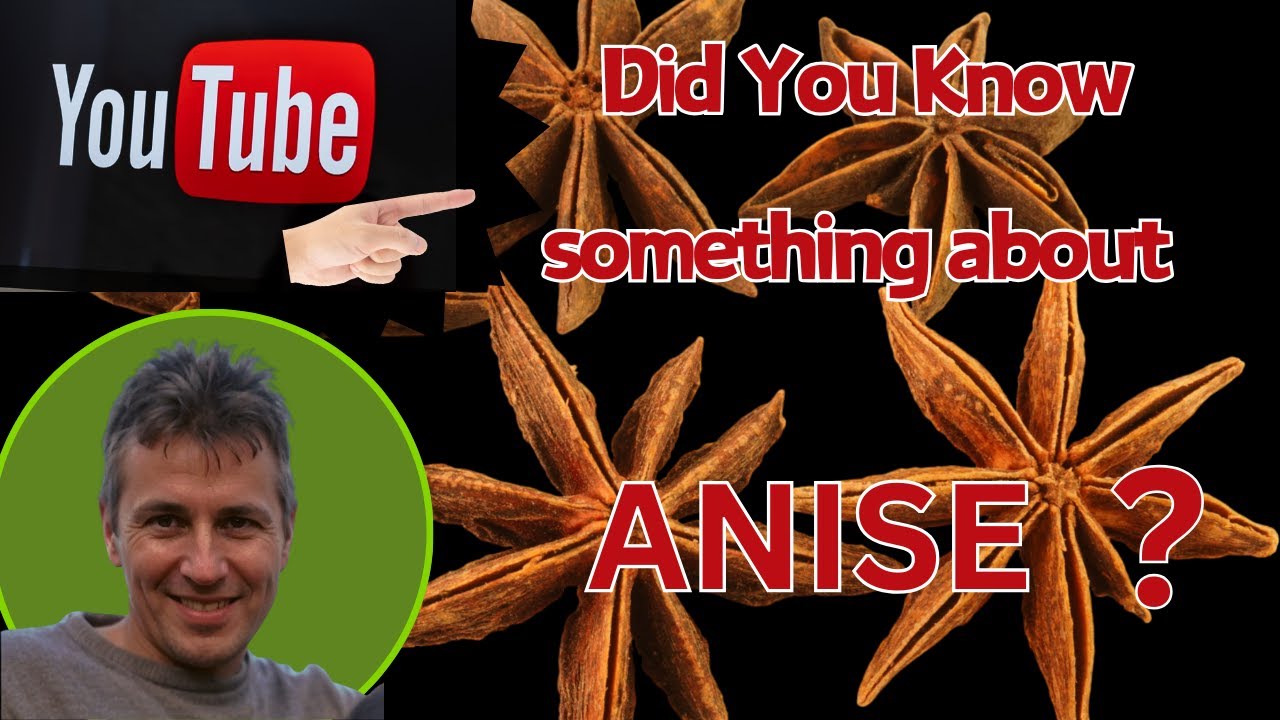 Did you know somthing about Anise? - YouTube