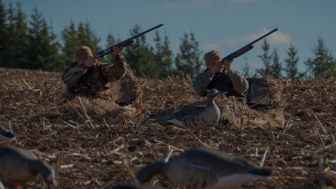 # 40 Охота на гуся в Беларуси весной. Адреналина хапнули! Hunting goose ...