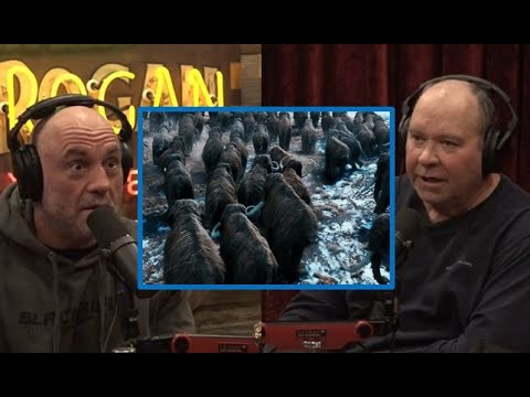 Joe Rogan: Ten Thousand Mammoths found in 5 acres #1918, #JoeRogan, # ...