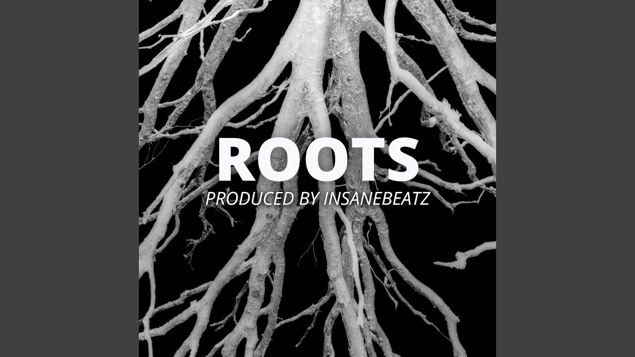"ROOTS" | Freestyle Rap Beat | Hard Old School Boom Bap Type Beat - YouTube