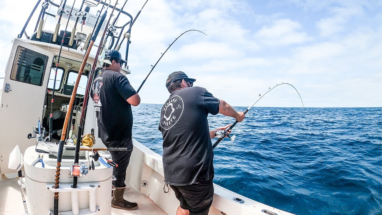 LOCAL BLUEFIN TUNA GIVING US SOME EPIC OPPORTUNITIES. Strike Mission ...