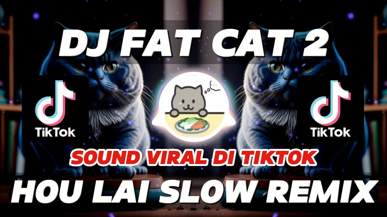 DJ FAT CAT 2 SLOW REMIX | HOU LAI LAGU MENGENANG FAT CAT VIRAL TIKTOK ...