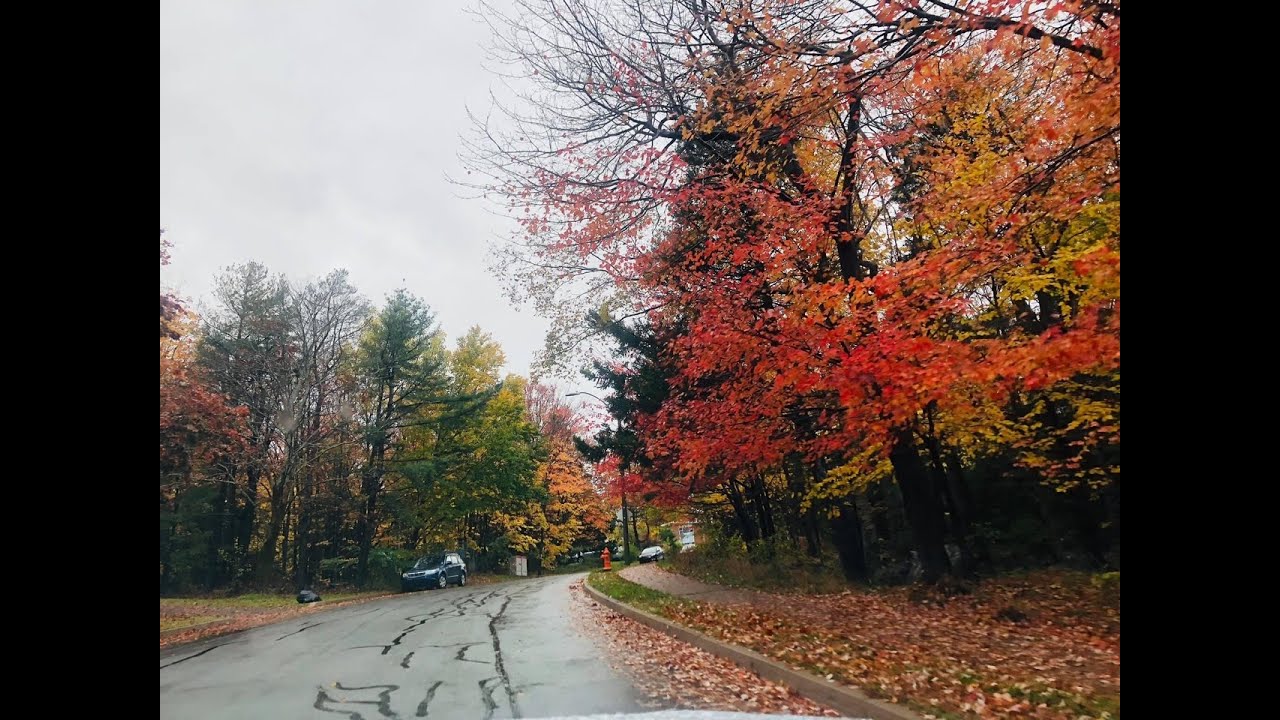 🌿🍂🍁😍 Fall/Autumn Season in HALIFAX NOVA SCOTIA,CANADA - YouTube