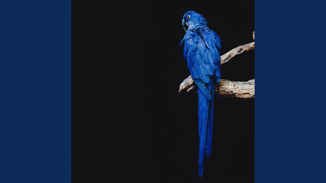 If Blue Is Blue - YouTube