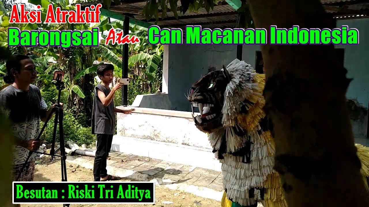 Aksi Atraktif Barongsai atau Can-Macanan Indonesia, Besutan Riski ...