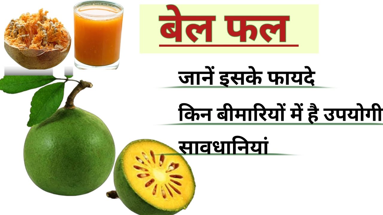 Bel ke Fayde | Bel fruit Benefits | Benefits of Wood apple | उपयोग ...