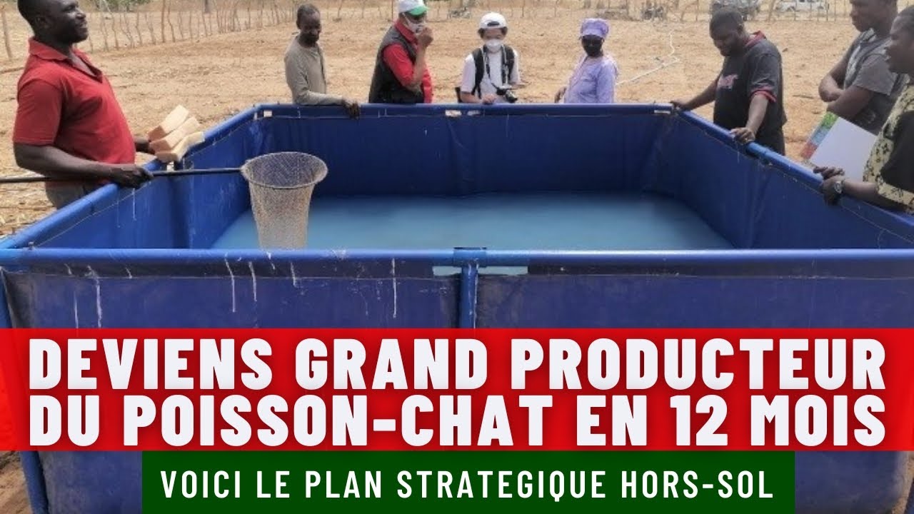 Comment Produire les Poissons en Hors-Sol #pisciculture #agriculture # ...