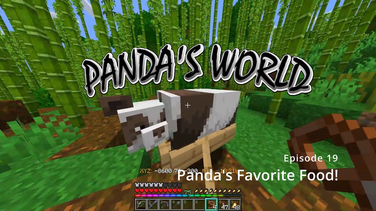 EP 19 - Panda's Favorite Food! - YouTube