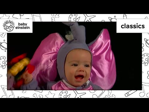 World Animal Adventure, Part 3 | Animal Videos for Kids | Baby Einstein