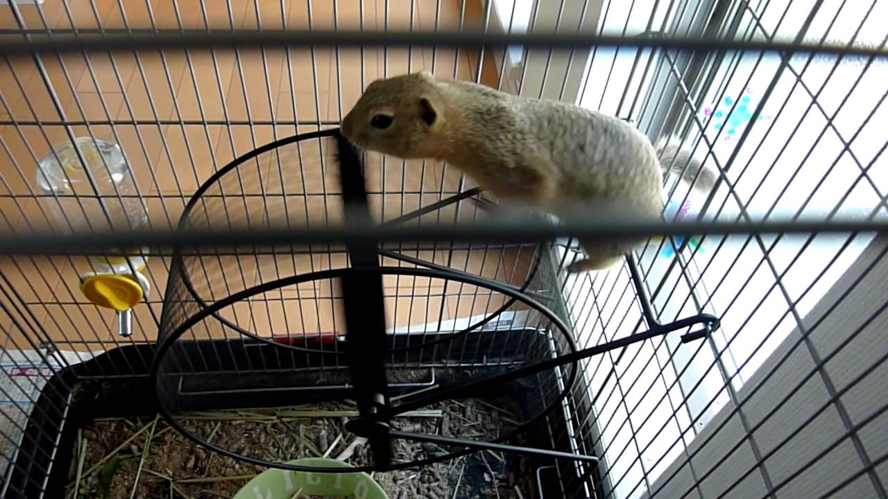 Is she good at running？ - YouTube