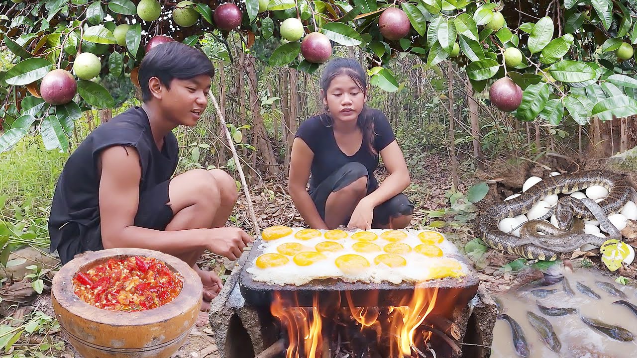 Survival Catch and cook, Egg grilled on the rock, Snake and catfish ...
