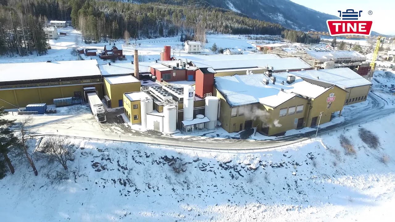 TINE Meieriet Tretten - YouTube