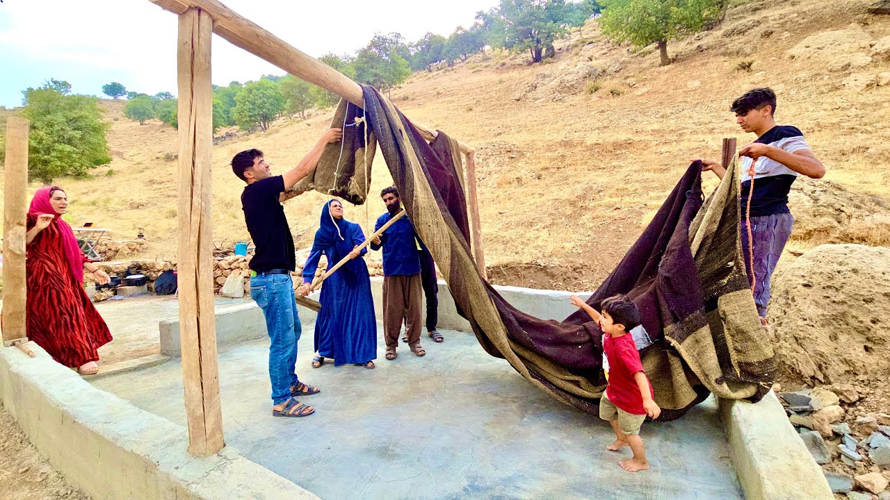 "Setting Up Our Black Tent: Family Traditions and Pine Tree Planting ...