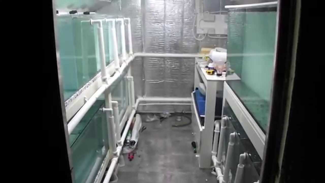 Fish House build - YouTube