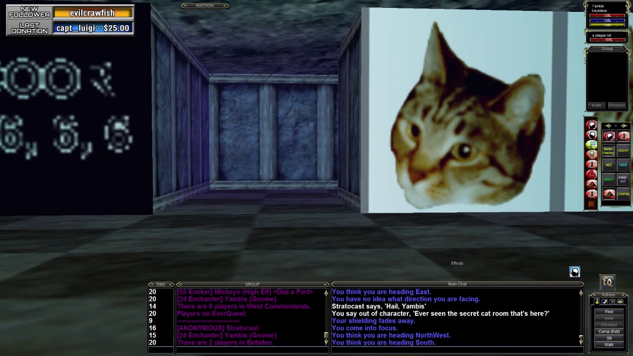 Secret Cat Room in Befallen. - YouTube
