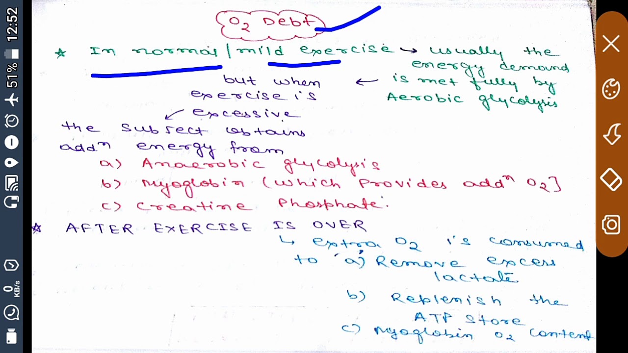 OXYGEN DEBT..RAPID REVISION..( RESPIRATION PHYSIOLOGY) - YouTube