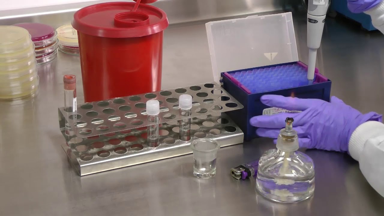 Test de Hodge Modificado - YouTube