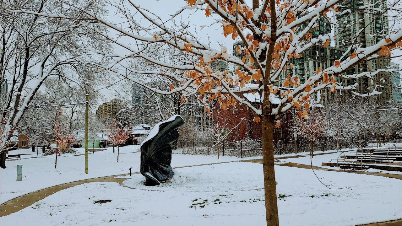 🇨🇦 ️2022 First Snow Lee Lifeson Art Park🍁 - YouTube