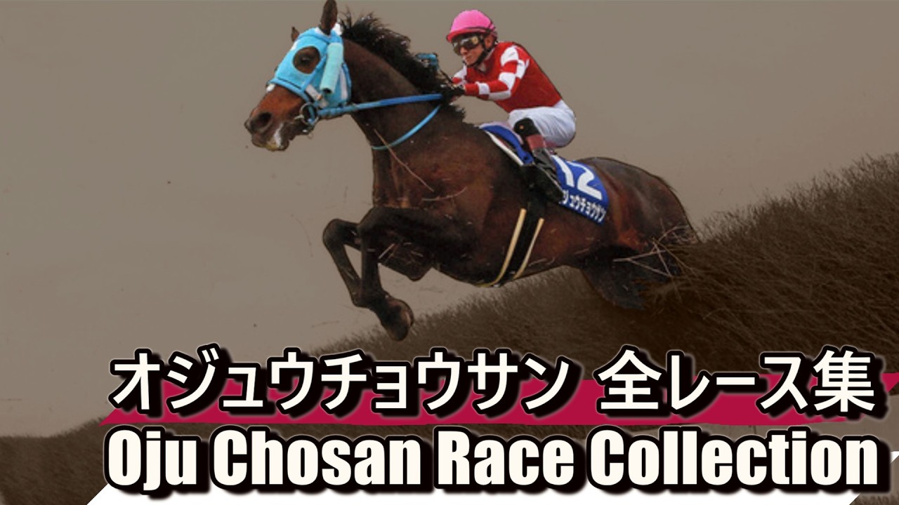 【データ付き】オジュウチョウサン 全レース集 Oju Chosan Race Collection 超えていく、王者。 - YouTube