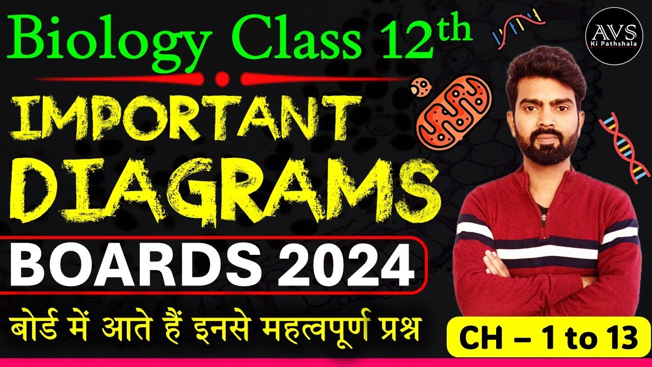 Important Diagrams | UP Board Class 12th Complete Biology | 29 Feb 12th ...