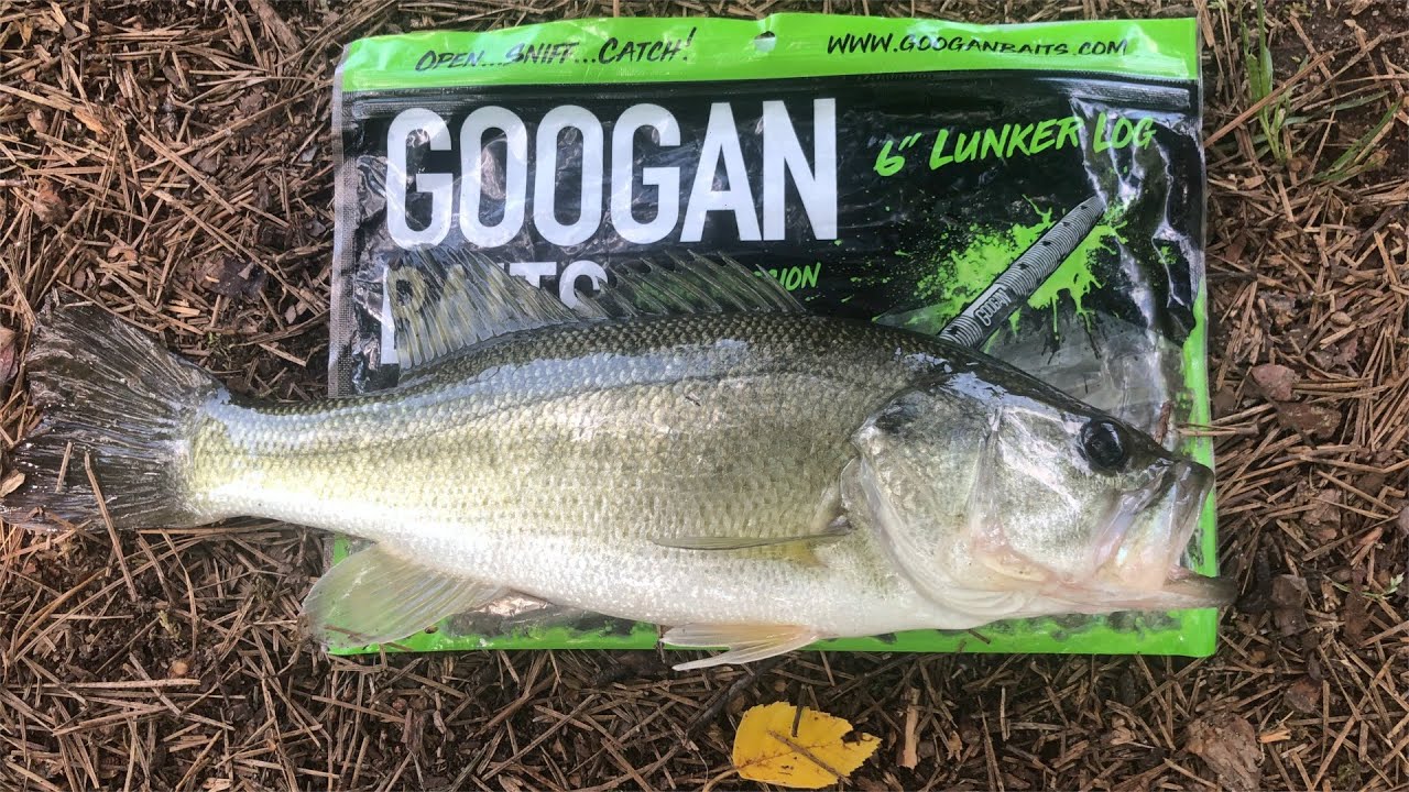 Googan Baits Lunker Log review + test - YouTube