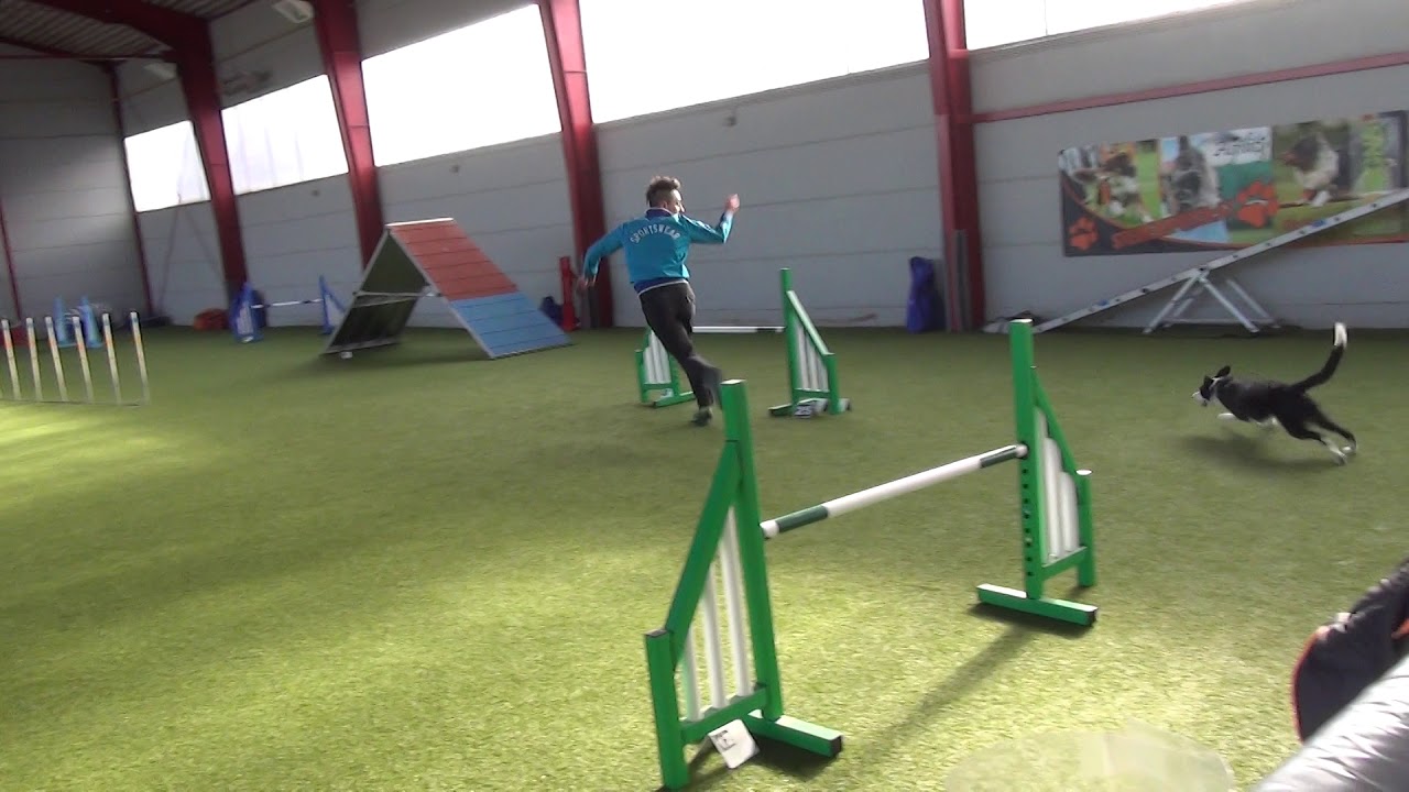 Dice at agility training with Lisa Frick 9 1 2019 - YouTube