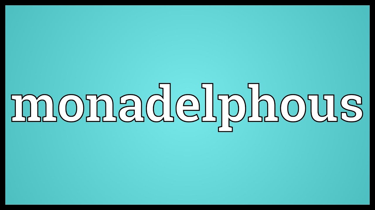 Monadelphous Meaning - YouTube